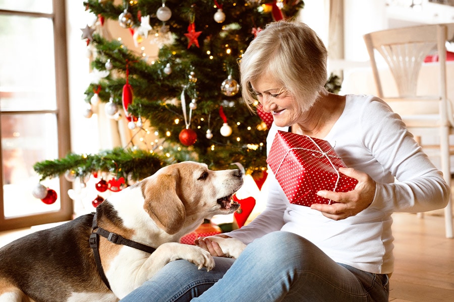 2016 Holiday Pet Gift Guide Tonka Pet Sitters Pet Sitters And Dog 2016 Holiday Pet Gift Guide Tonka Pet Sitters Pet Sitters And Dog